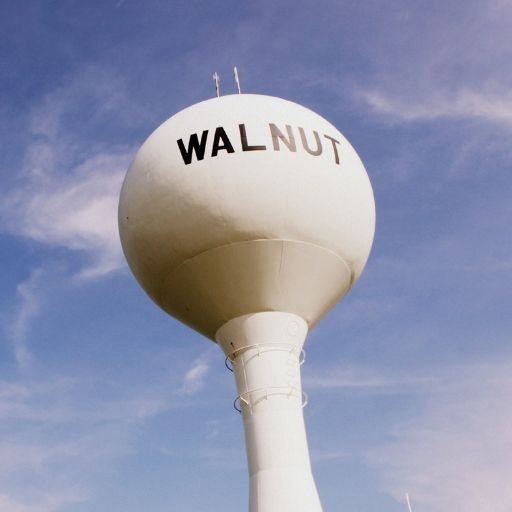 Forms | Village of Walnut, Illinois